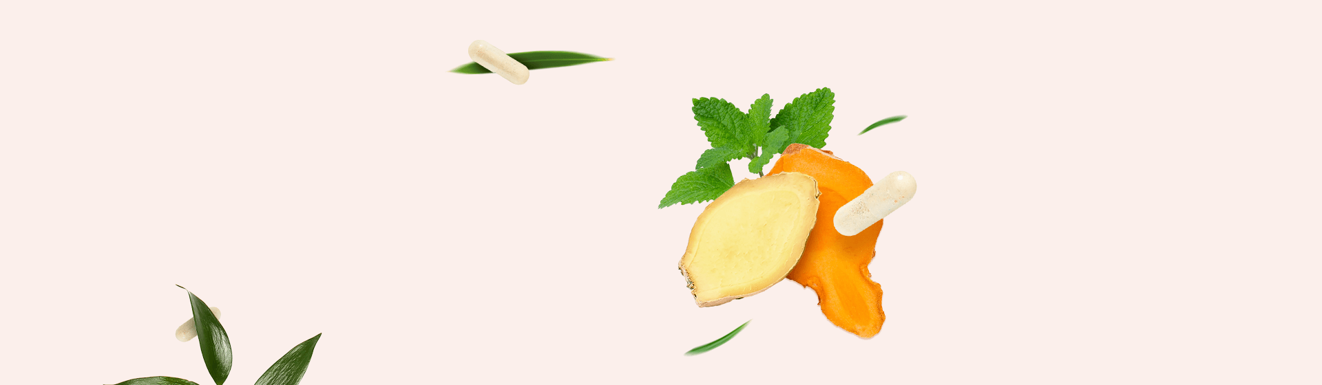 Supplements – Puriya